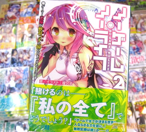 「ノーゲーム・ノーライフ」2巻 全てがゲームで決まる世界の天才ゲーマー兄妹 アキバblog